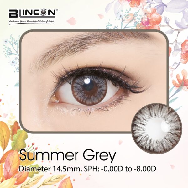 Blincon DD 3 Months Disposable Cosmetic Color Contact Lenses (2 pcs ...