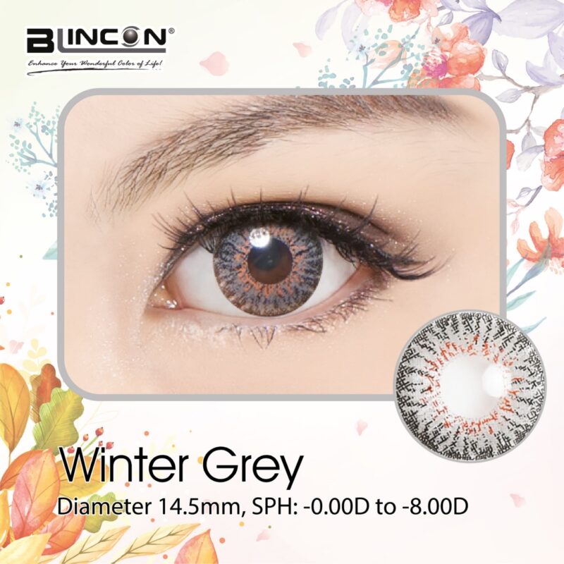 Blincon DD 3 Months Disposable Cosmetic Color Contact Lenses (2 pcs ...