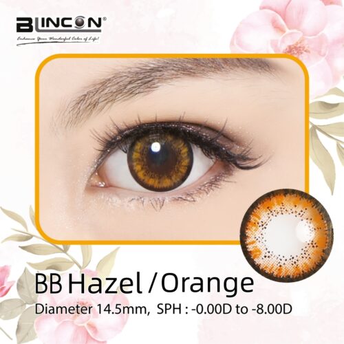 Blincon BB Monthly Disposable Color Cosmetic Contact Lenses (2 pcs ...