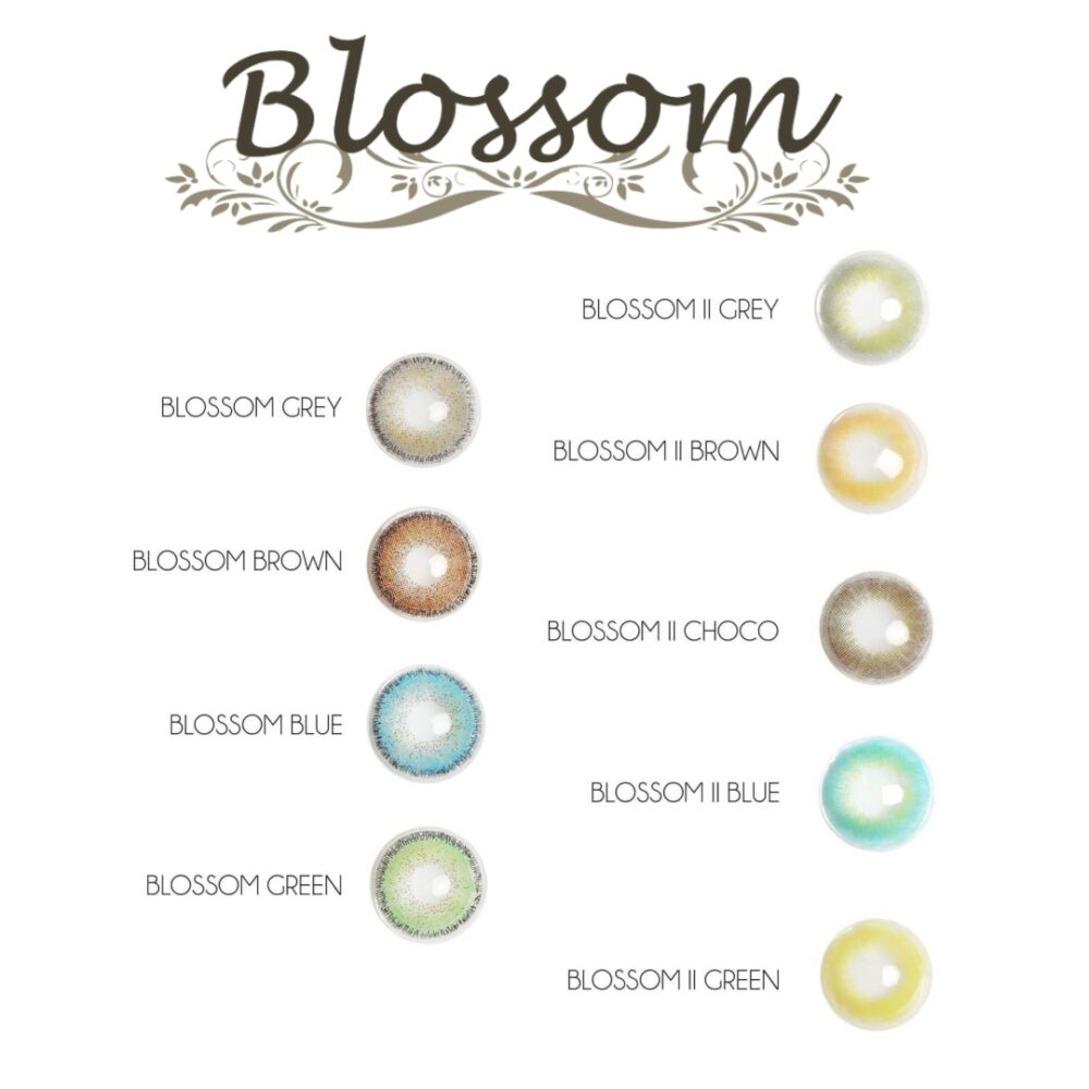 Blincon Blossom & Blossom II 3 Months Disposable Color Cosmetic Contact ...